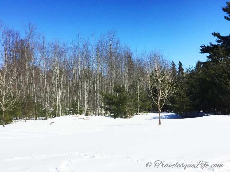 11 Things Families Love about Fulton’s Sugar Bush – Travelesque Life